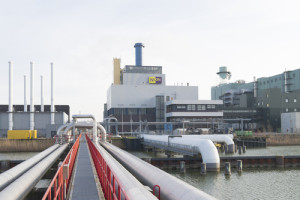 Swaffelen - DutchNews.nl