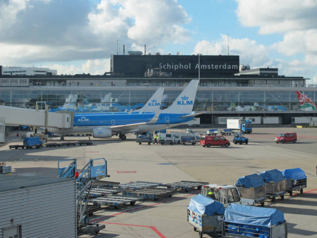 Court blocks KLM ground staff strike ahead of summer travel peak ...