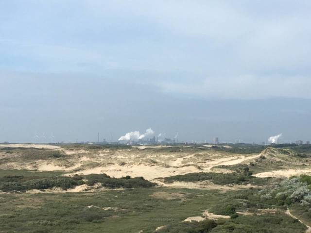 Court tells Dutch state to slash nitrogen pollution by 2030 - DutchNews.nl