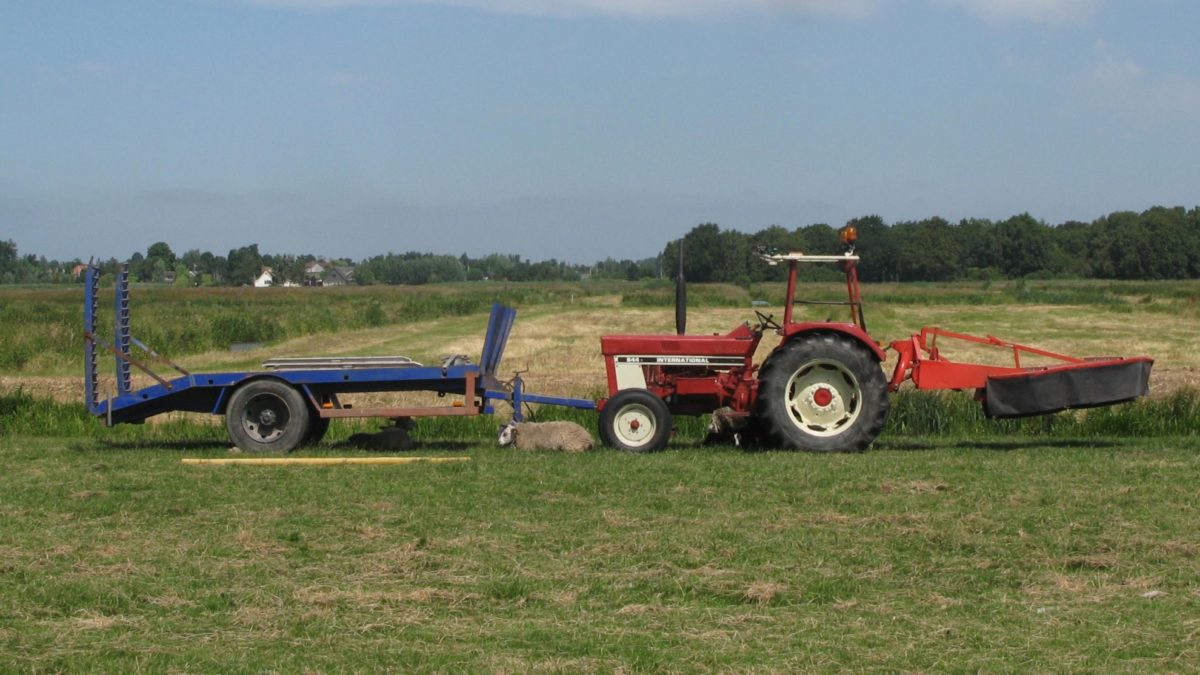 Cabinet plans to push back nitrogen targets to 2035, say reports ...