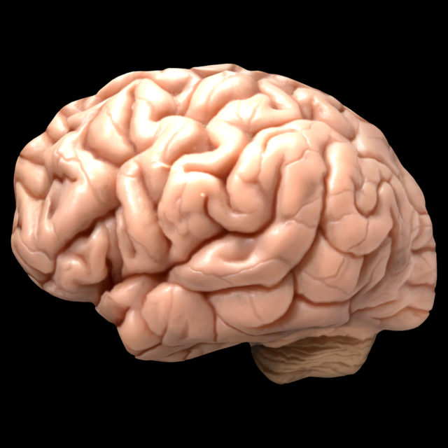 Health Archives - DutchNews.nl