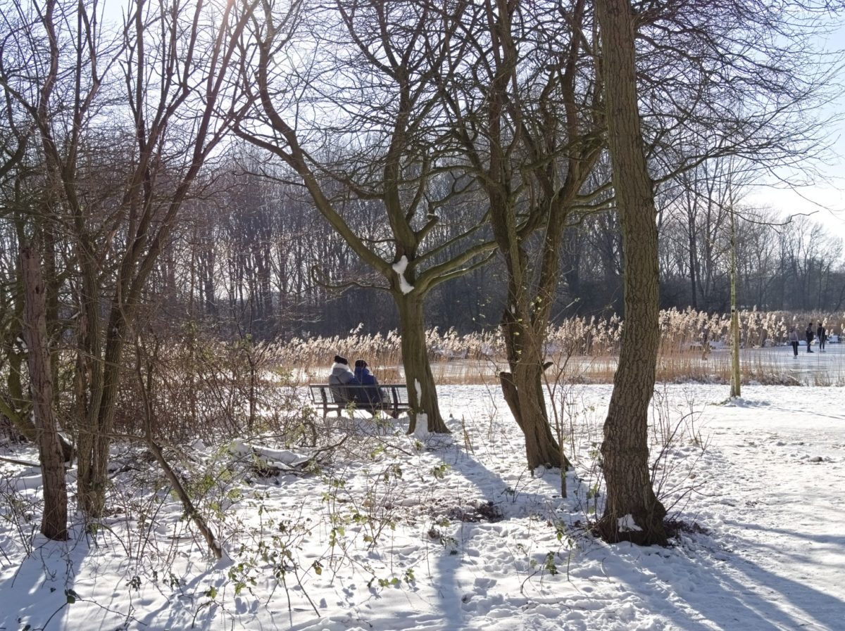Up to five centimetres of snow may fall on Sunday in parts of NL ...