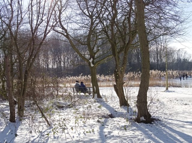 Snow expected nationwide Netherlands in first weekend of 2026 ...