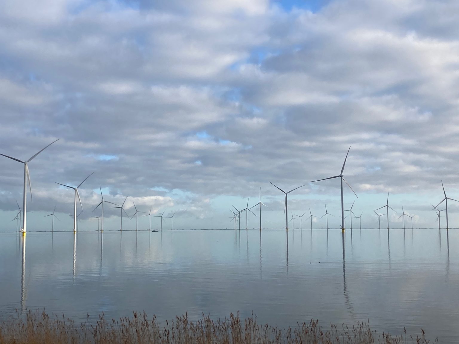 Expensive offshore wind farms out of favour with energy firms ...