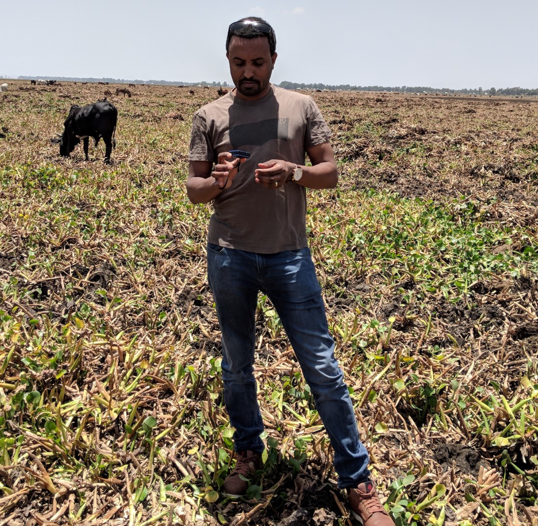 The people exporting Dutch expertise back to their home countries ...