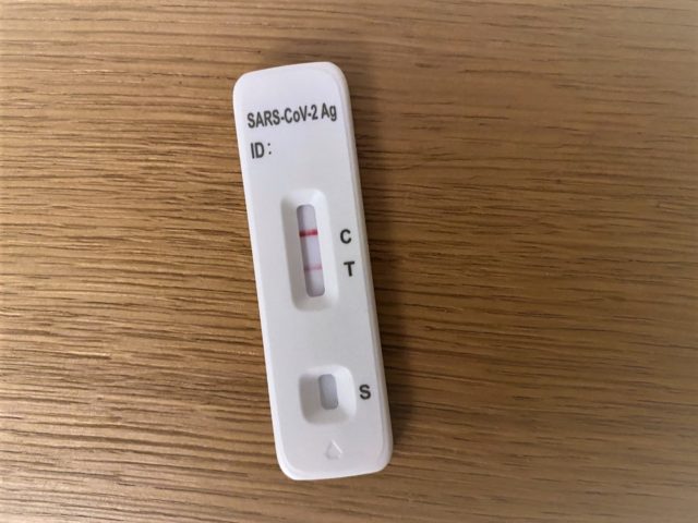 Anti-malarial drug killed some 200 Covid patients in NL: study ...