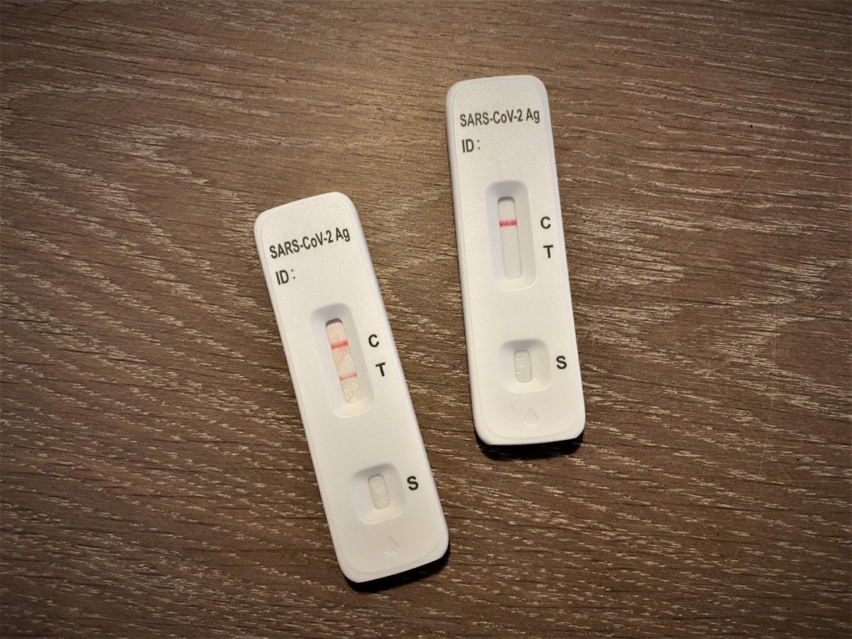 Flu and coronavirus in retreat but infections still high - DutchNews.nl