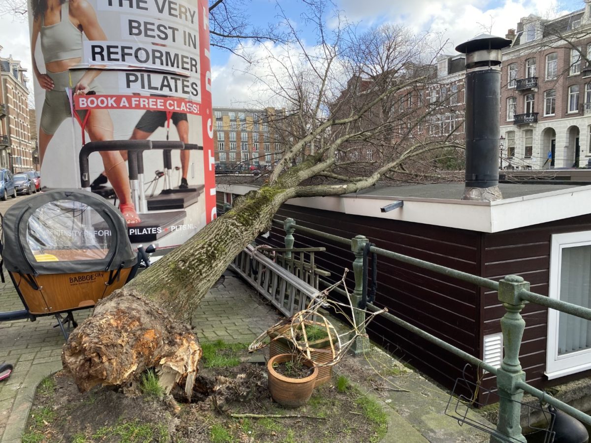 Dudley, Eunice and Franklin triggered record year for storm damage ...