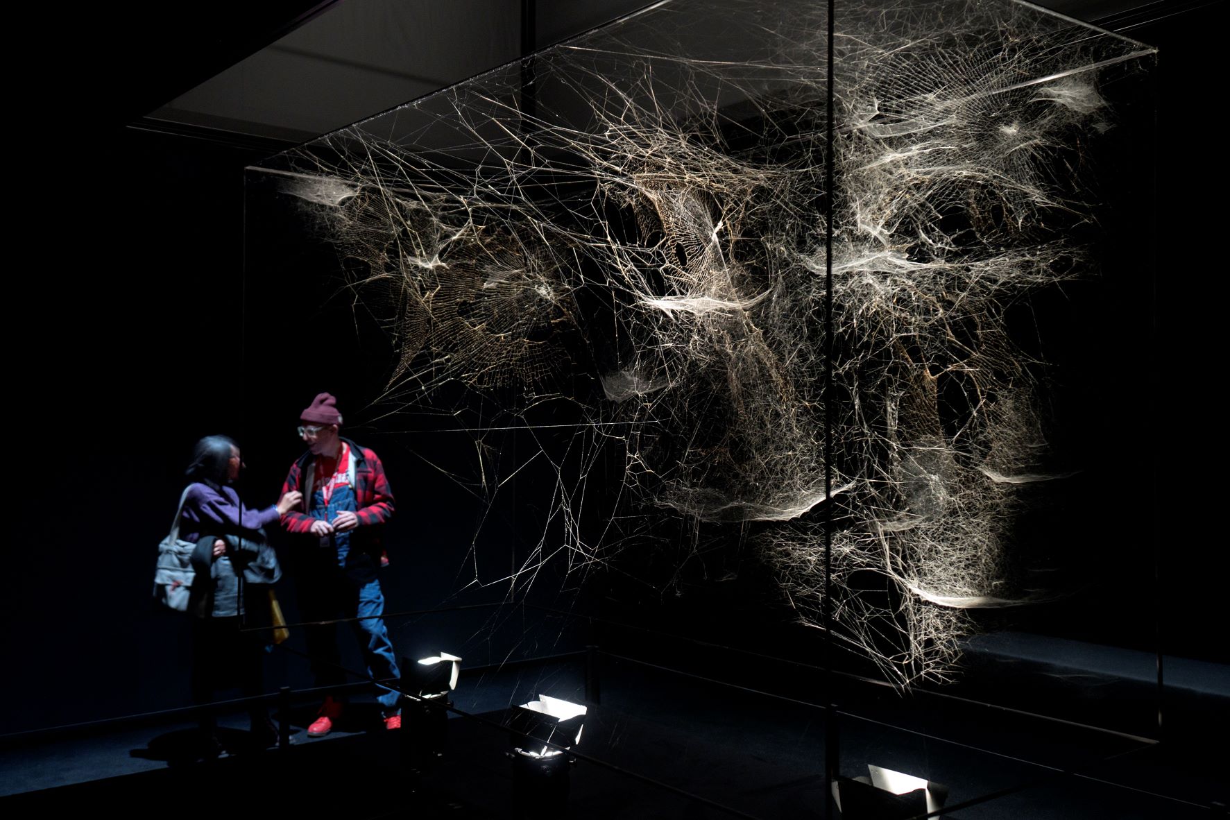 Creepy: crawly exhibition at Rijksmuseum features creatures of awe and ...