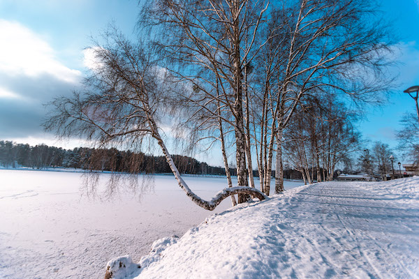 A bird’s eye view of Lithuanian nature in Druskininkai - DutchNews.nl