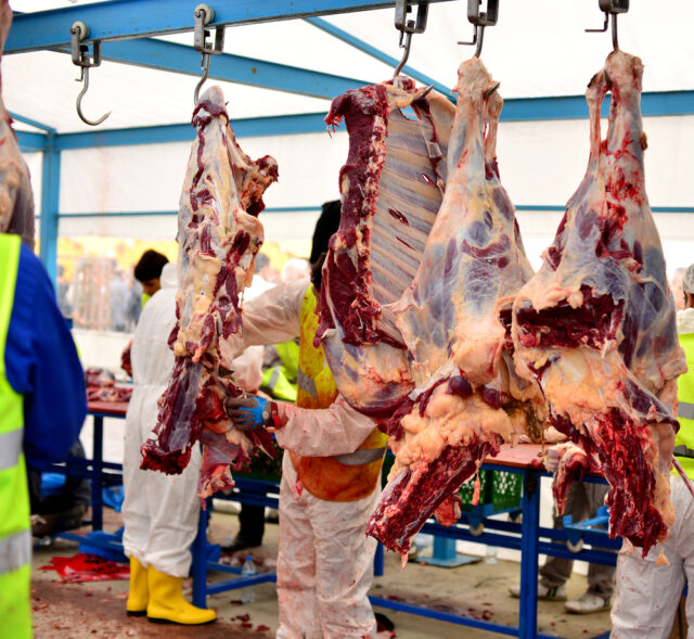 Ban on temp workers in meat industry looms to combat abuses - DutchNews.nl