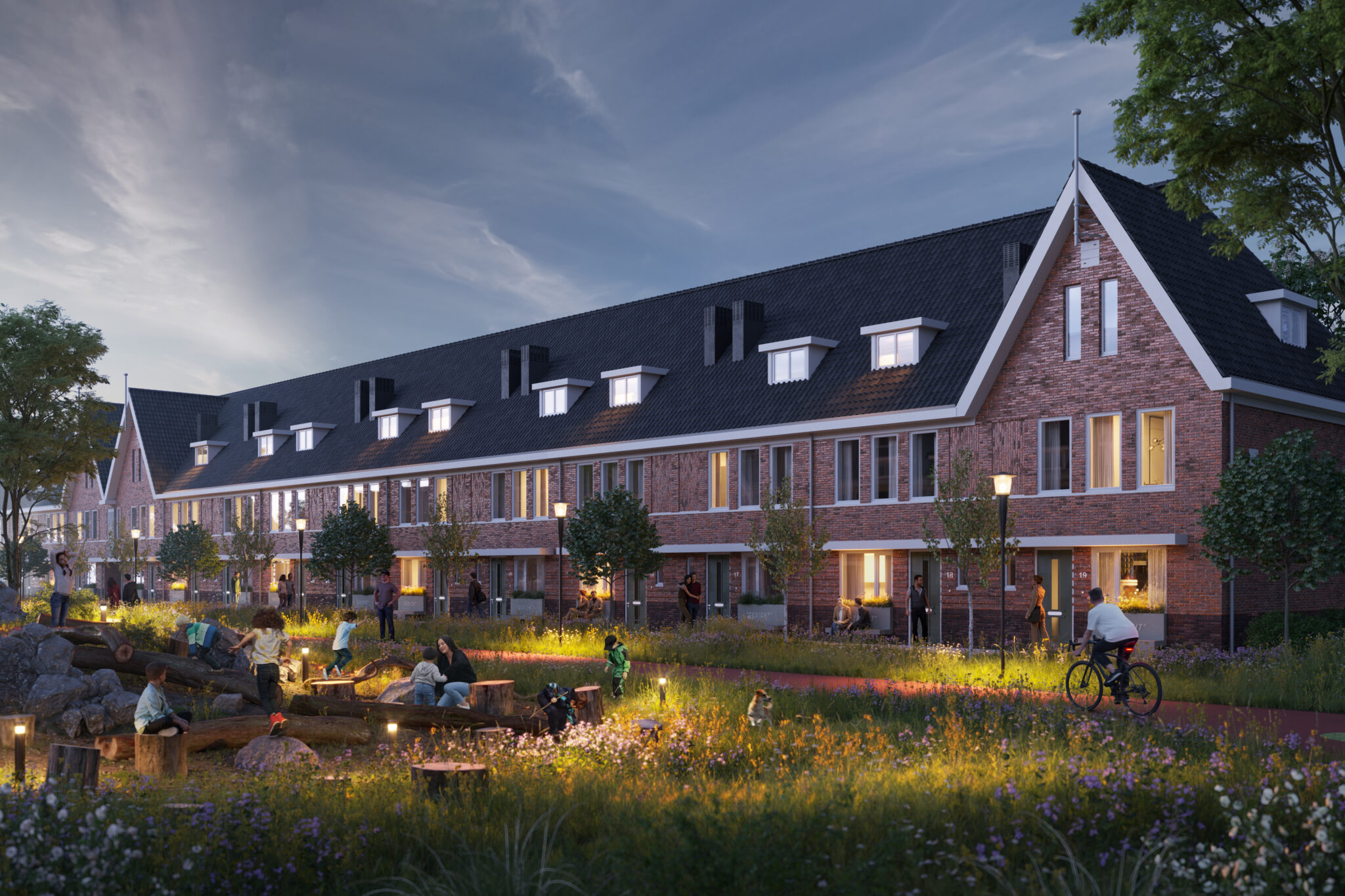 The green grass of home: energy-positive homes in Eindhoven - DutchNews.nl