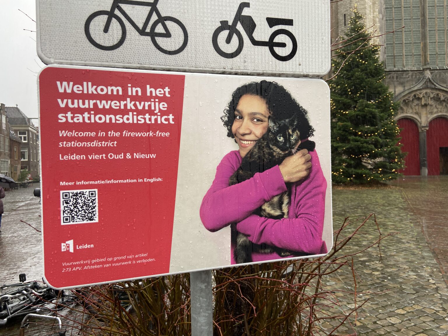 Life in the Netherlands - DutchNews.nl