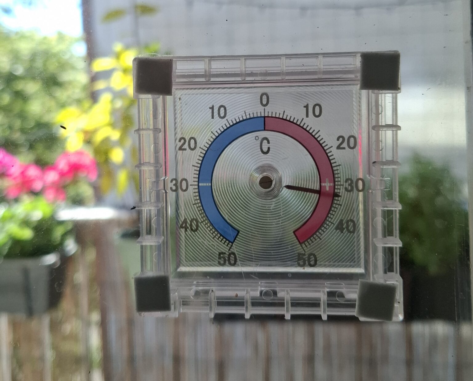 Society Archives - DutchNews.nl