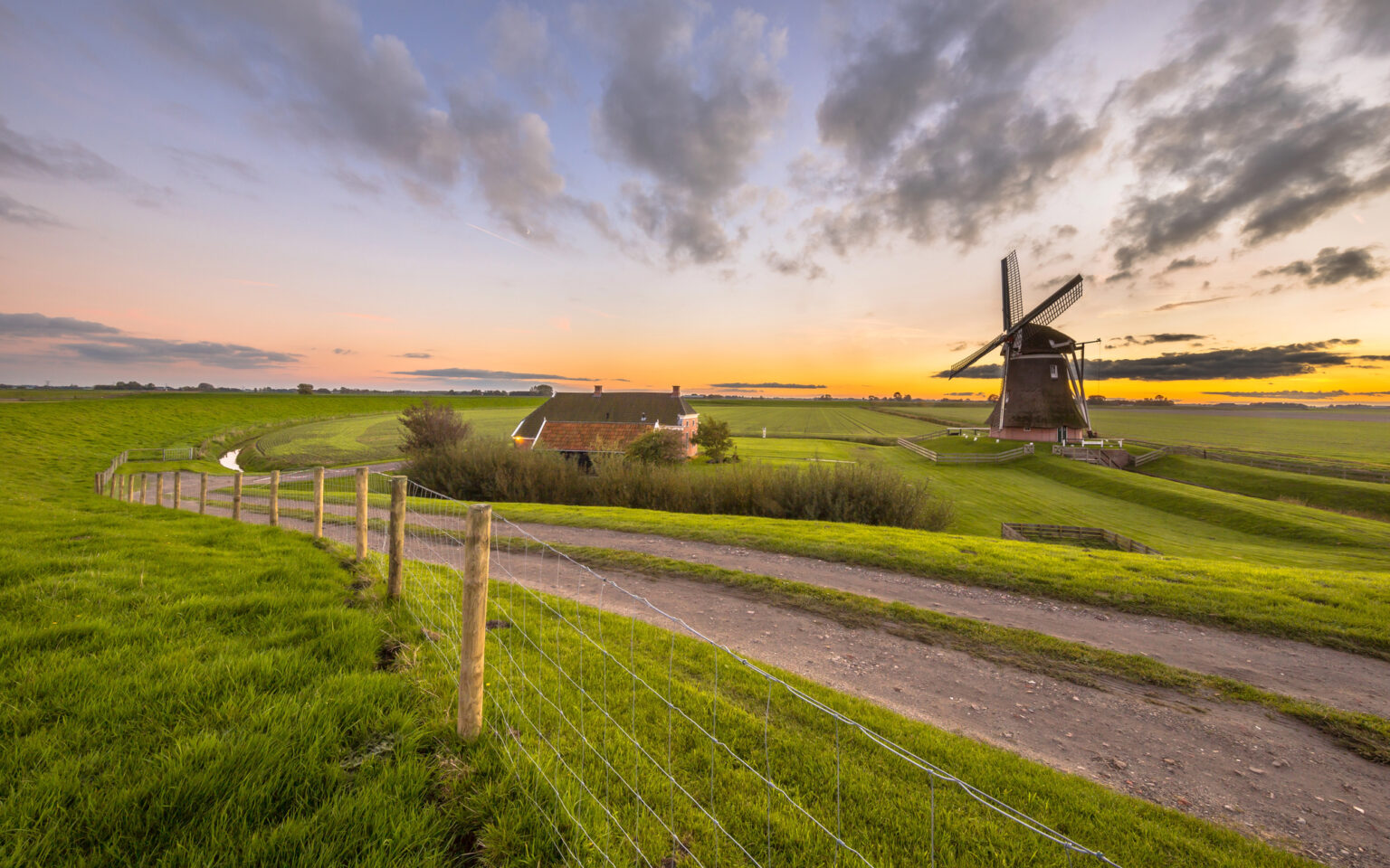 Dutch News podcast: The Manure Hits the Windmill Edition - DutchNews.nl