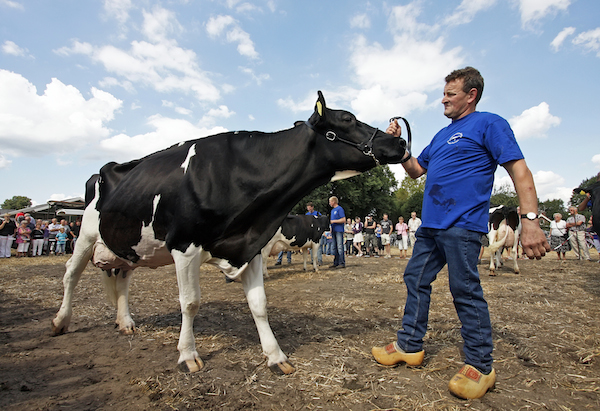 Inburgering with DutchNews.nl: Key facts about clogs - DutchNews.nl