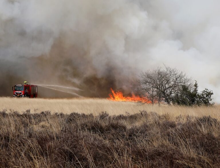 Massive heath fire near Ede was due to military smoke grenade ...