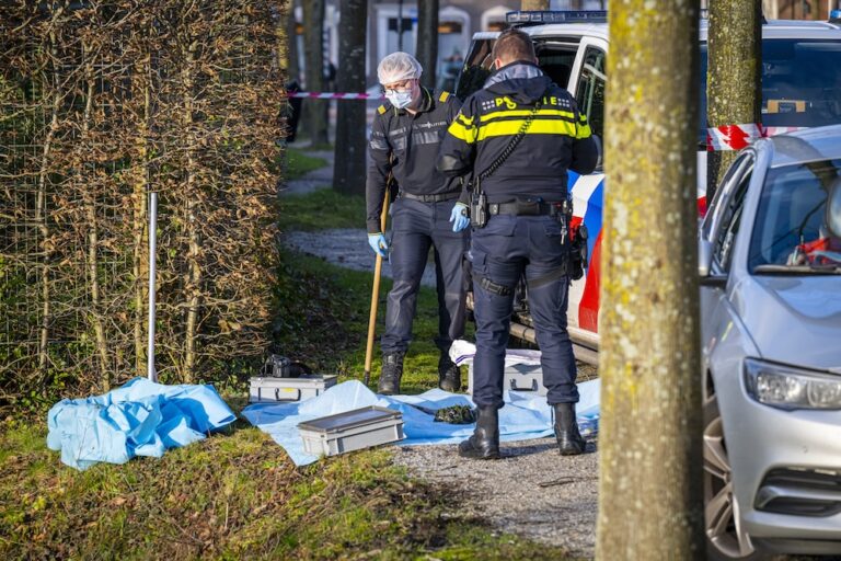 Romanian crime link investigated in Drents Museum gold heist - DutchNews.nl