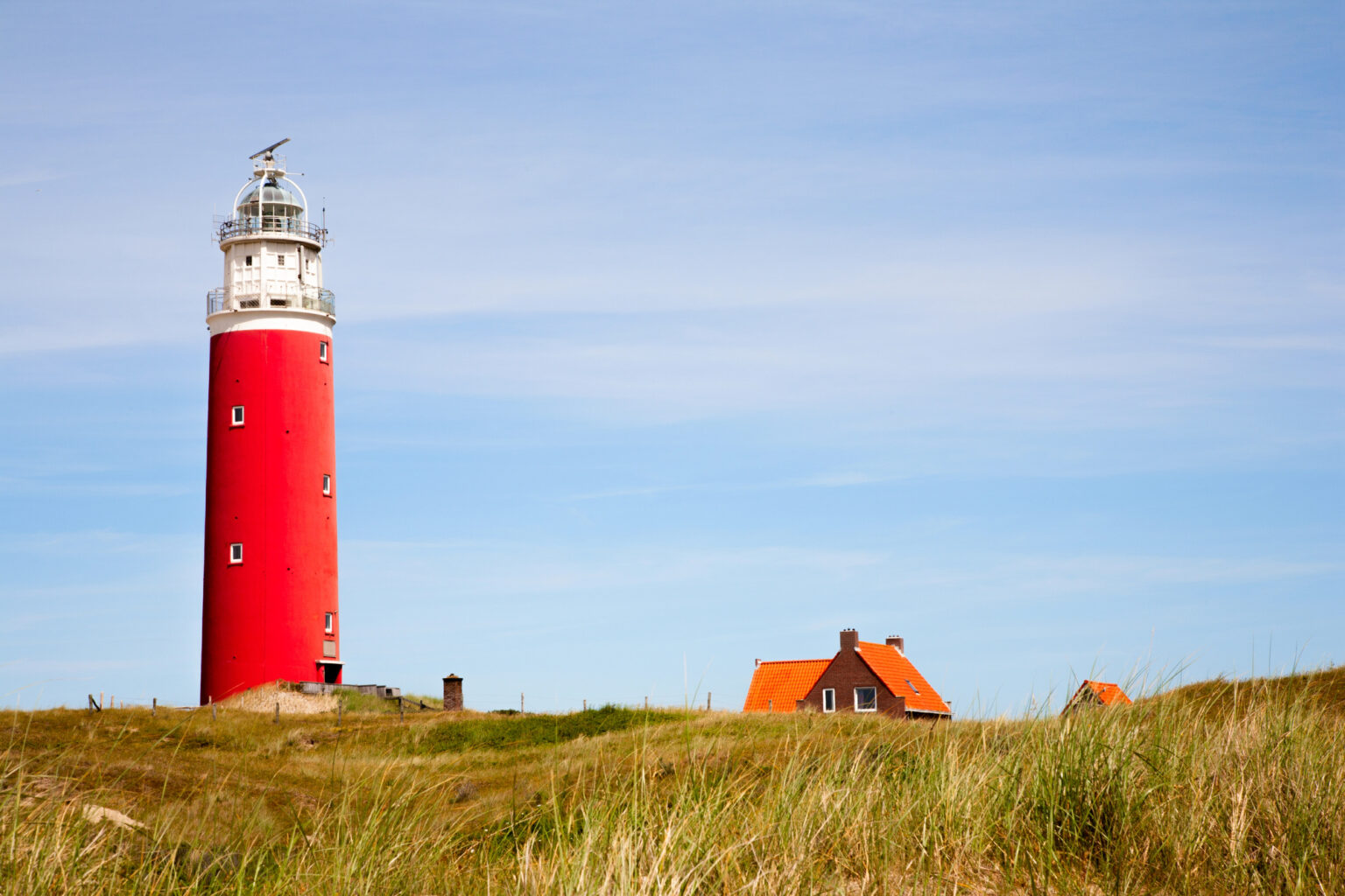 Europe's last battlefield: Remembering Texel's Georgian uprising ...