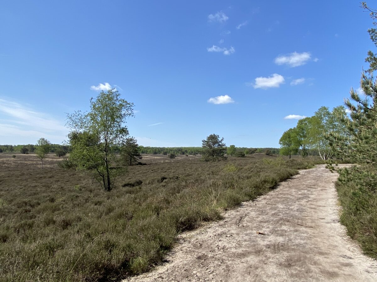 Dutch destinations: venture back into the Veluwe - DutchNews.nl