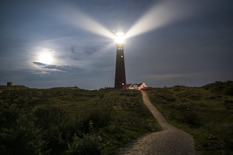 Wild nights: 10 ways to enjoy the Dutch outdoors after dark - DutchNews.nl