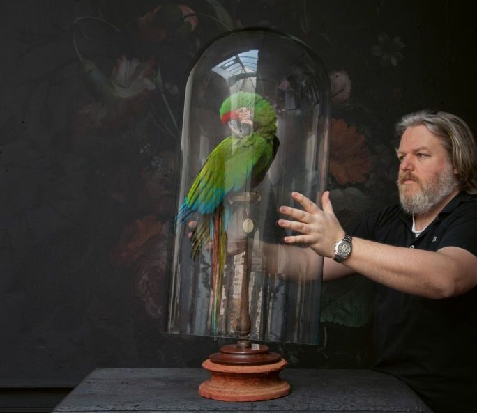 Beautiful addiction: art meets taxidermy in new Amsterdam museum ...