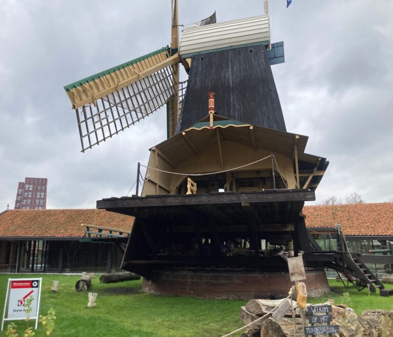 The 2025 Dutch general election: as it happens - DutchNews.nl