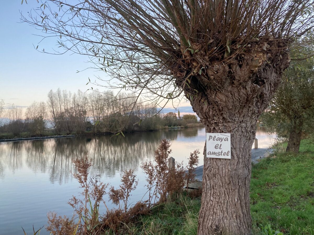 "Imagining leaving and not coming back here breaks my heart" - DutchNews.nl