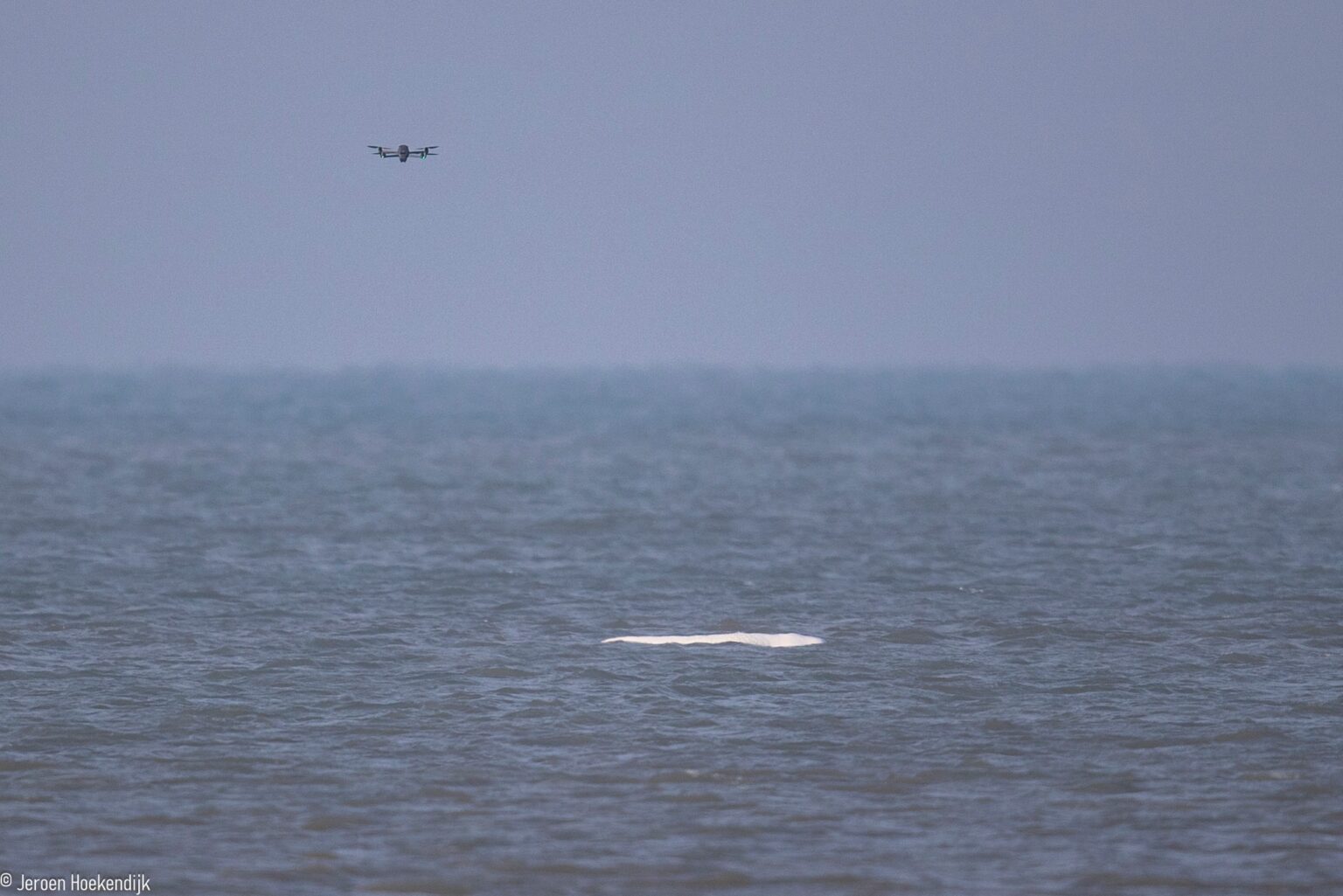 Dutch public broadcasting system faces overhaul to cut costs - DutchNews.nl