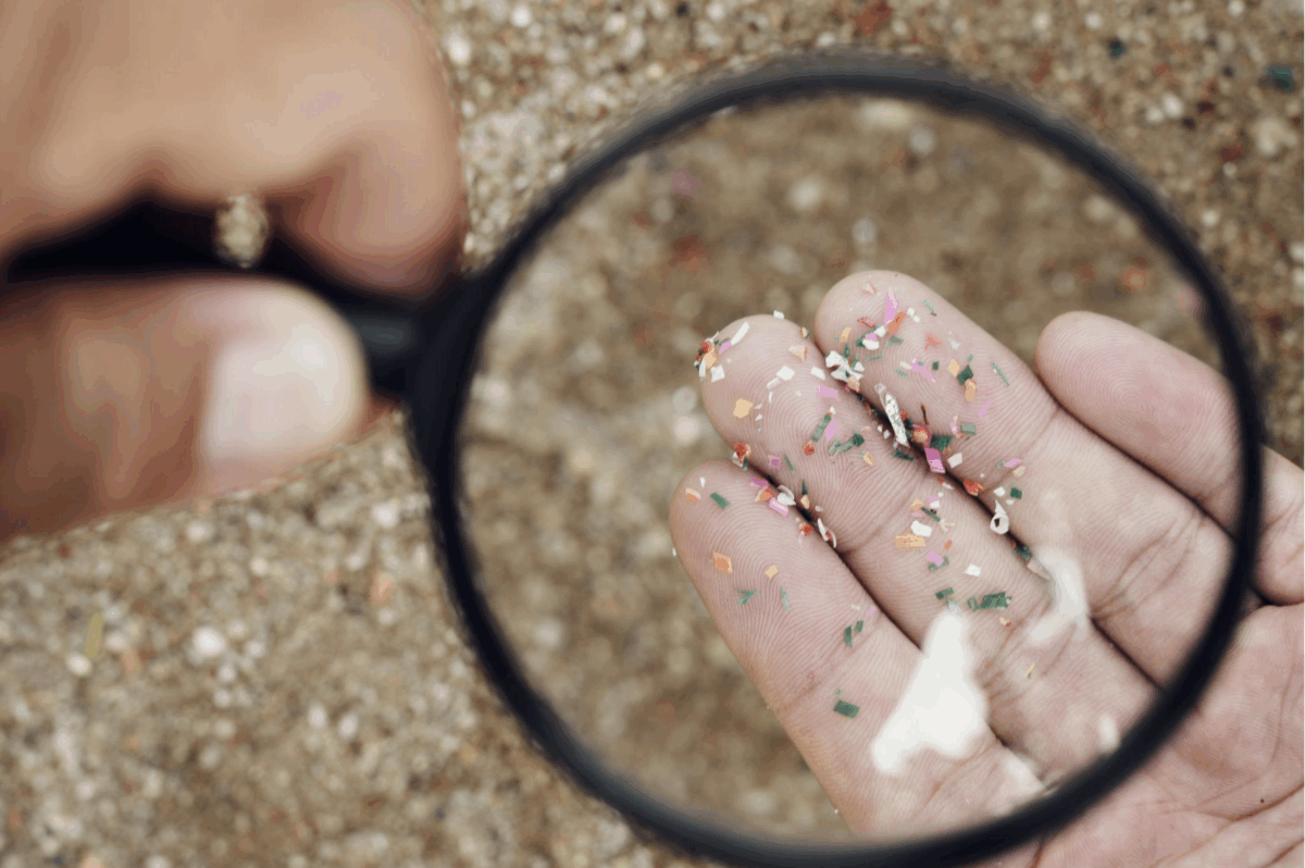 The truth about laundry detergent sheets and “microplastics” - DutchNews.nl
