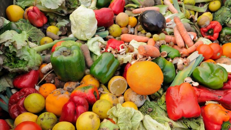 Food waste falls but Netherlands is off track for 2030 goal - DutchNews.nl
